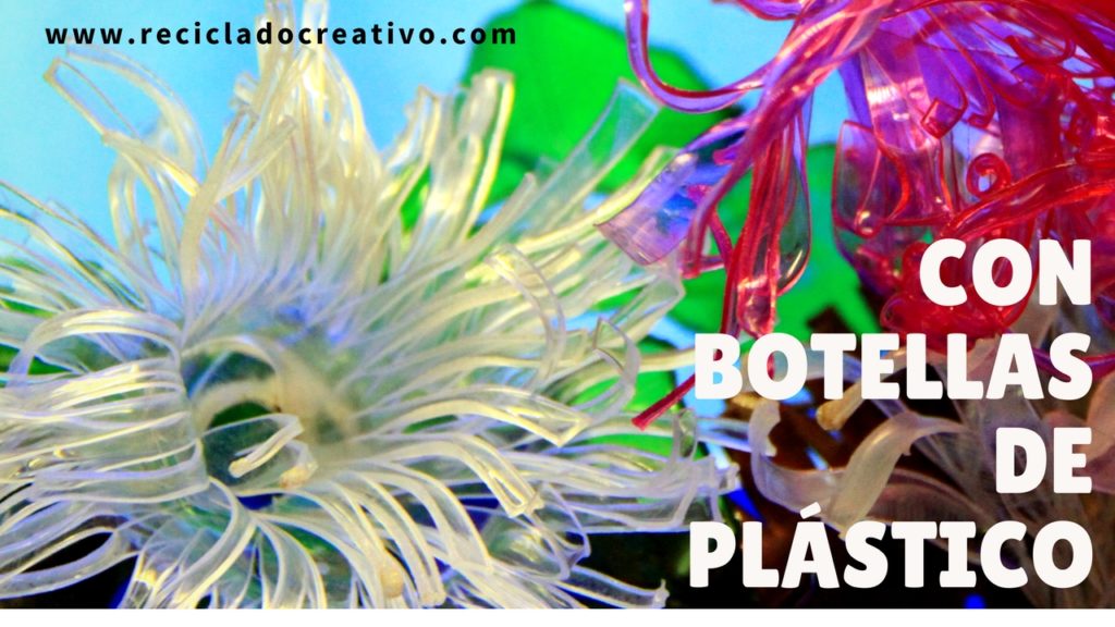 algas con botellas de plástico de Reciclado Creativo (9) - RECICLADO ...